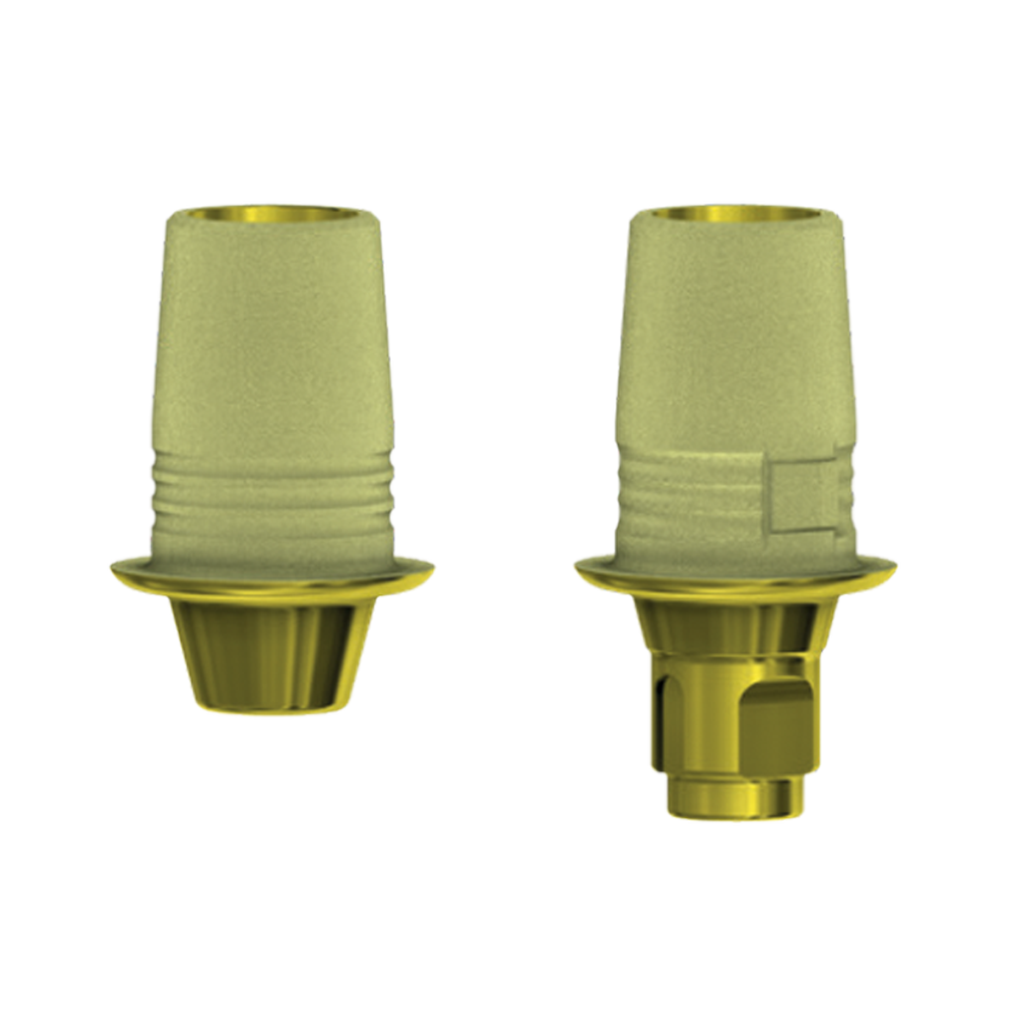 DESS Conical BLT C-Bases – Tatum Surgical